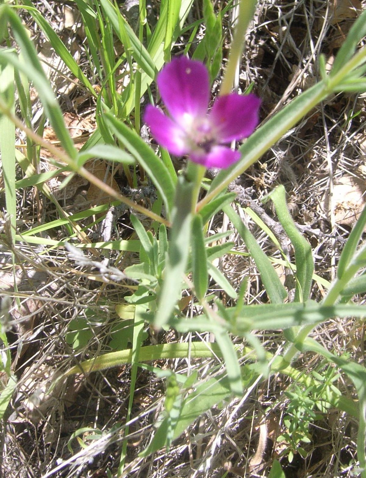 filelib.wildlife.ca.gov - /Public/R3_BDR/Lands/Wildlife_Areas/Knoxville ...
