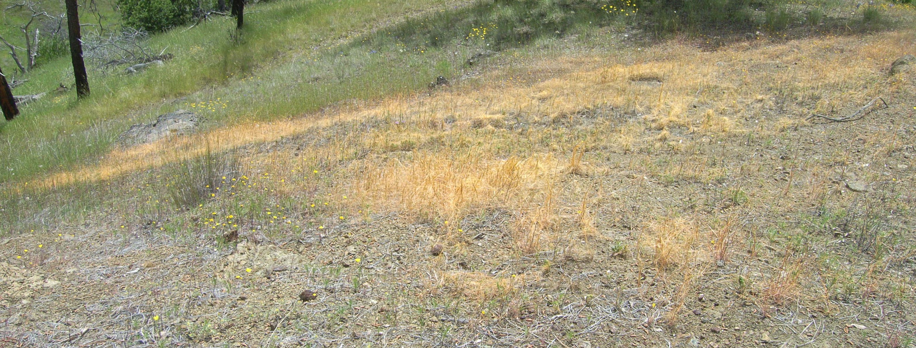 filelib.wildlife.ca.gov - /Public/R3_BDR/Lands/Wildlife_Areas/Knoxville ...