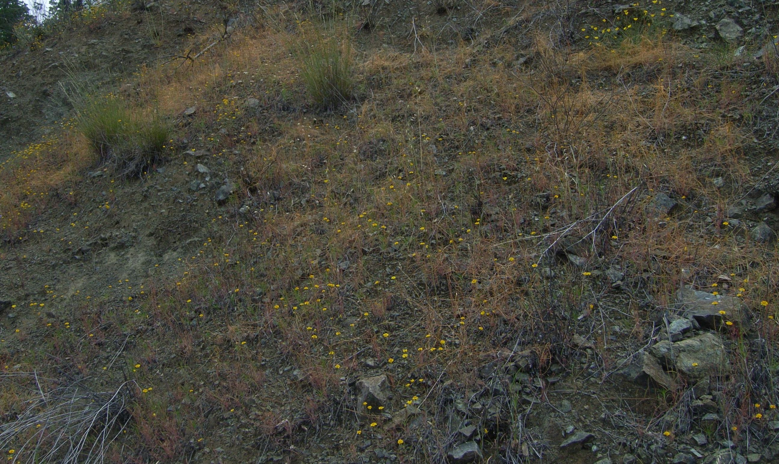 filelib.wildlife.ca.gov - /Public/R3_BDR/Lands/Wildlife_Areas/Knoxville ...