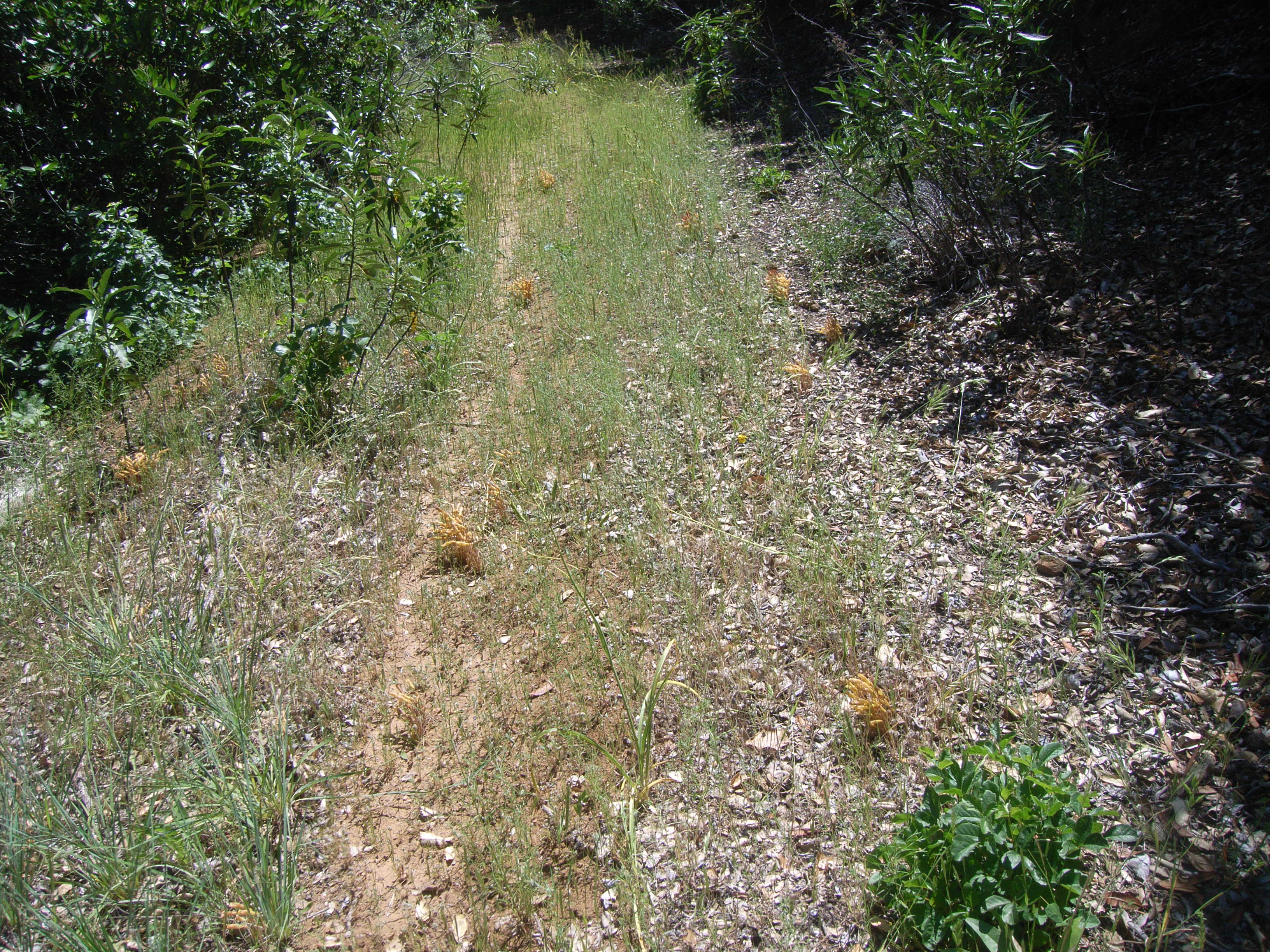filelib.wildlife.ca.gov - /Public/R3_BDR/Lands/Wildlife_Areas/Knoxville ...