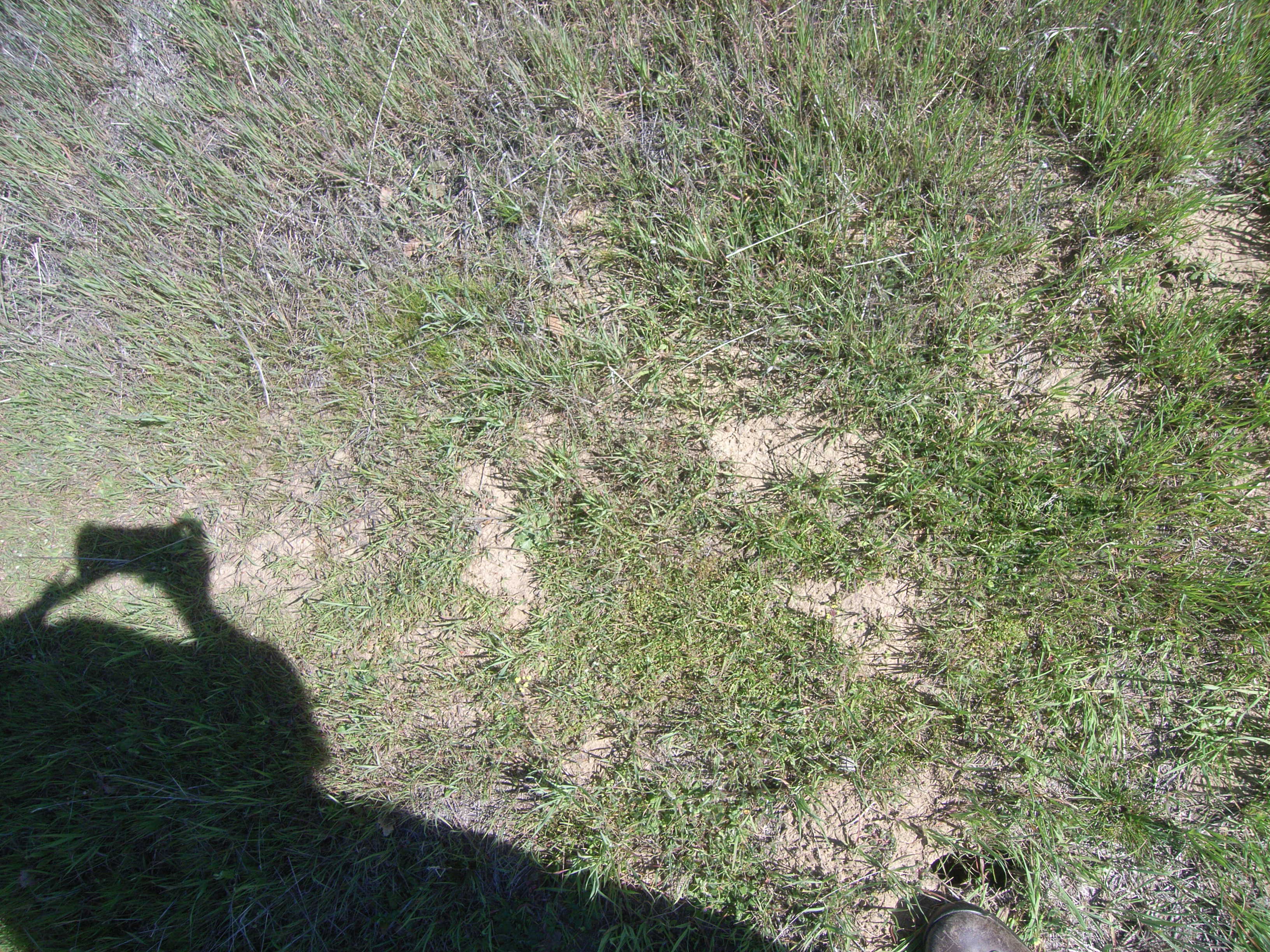 filelib.wildlife.ca.gov - /Public/R3_BDR/Lands/Wildlife_Areas/Knoxville ...