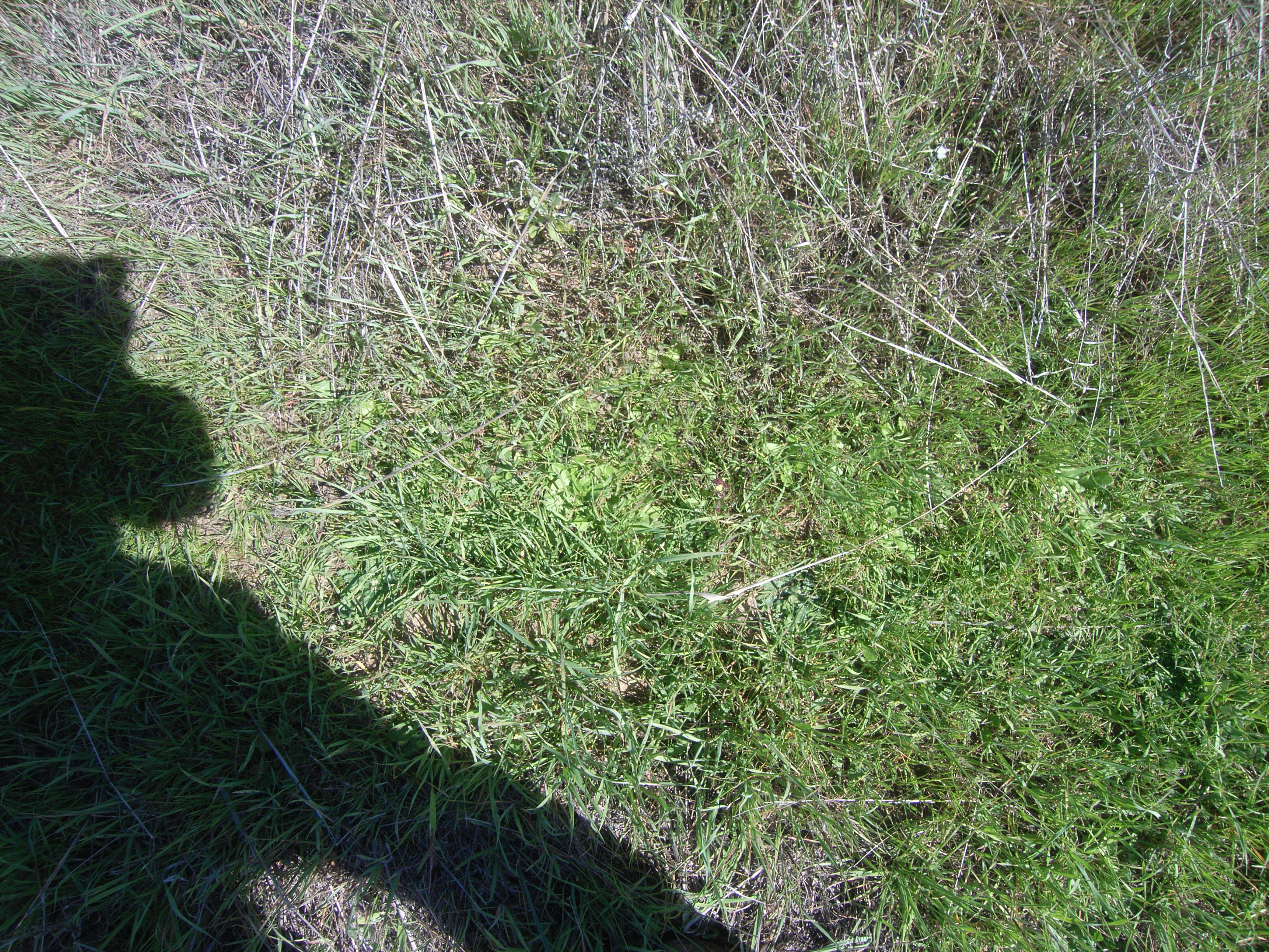 filelib.wildlife.ca.gov - /Public/R3_BDR/Lands/Wildlife_Areas/Knoxville ...